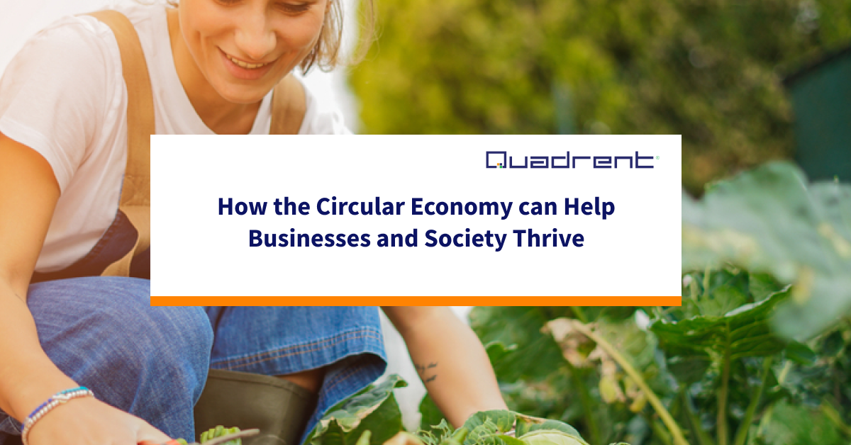 How the Circular Economy can Help Businesses and Society Thrive